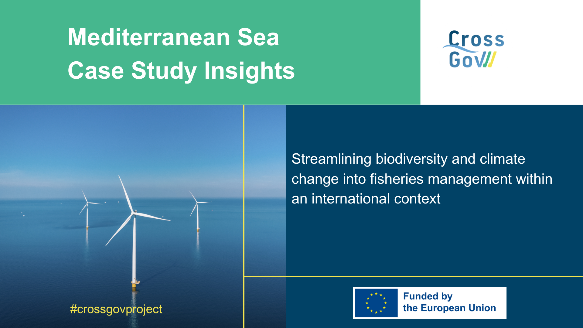 Mediterranean Sea - Case Study Insights - Crossgov Project