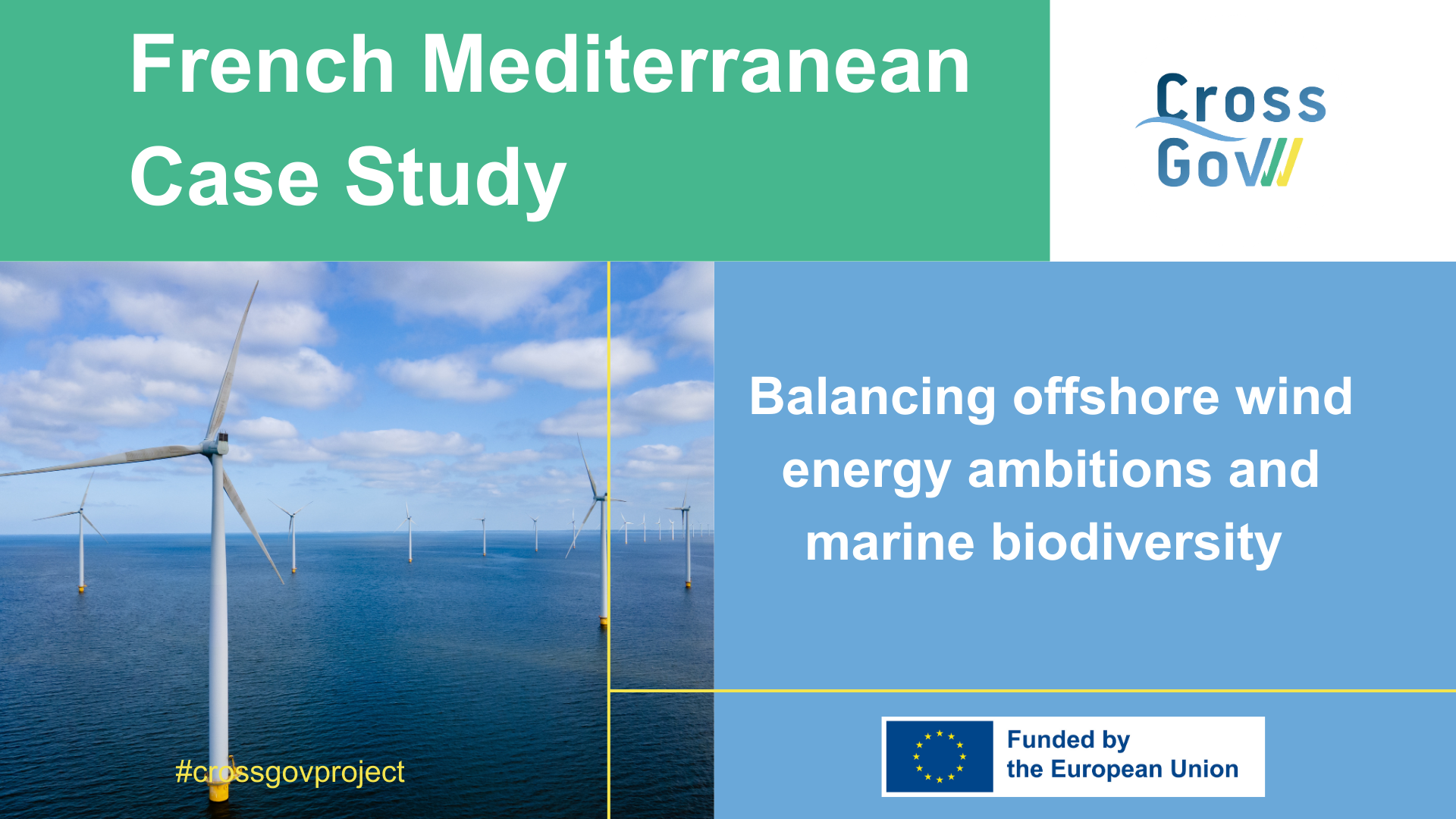 Balancing offshore wind energy ambitions and marine biodiversity ...