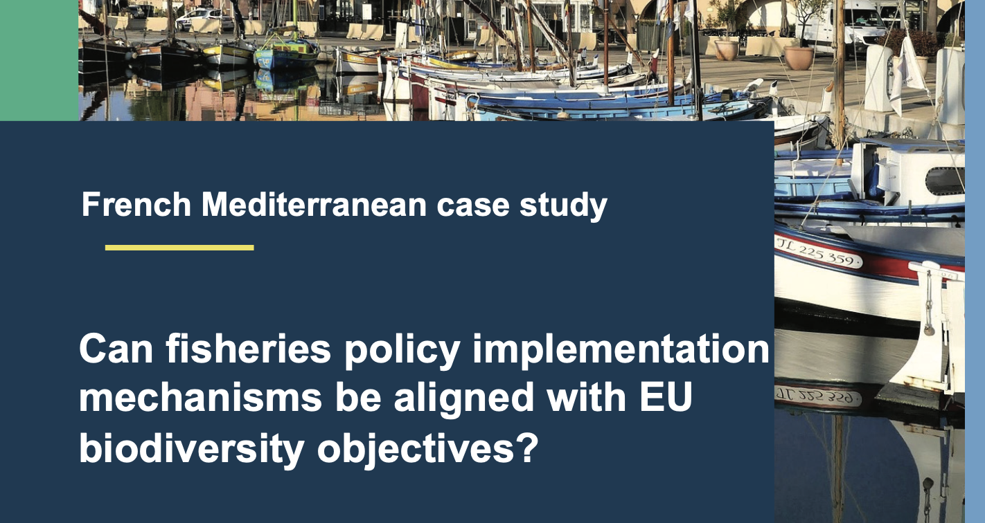 French Mediterranean case study - Crossgov Project